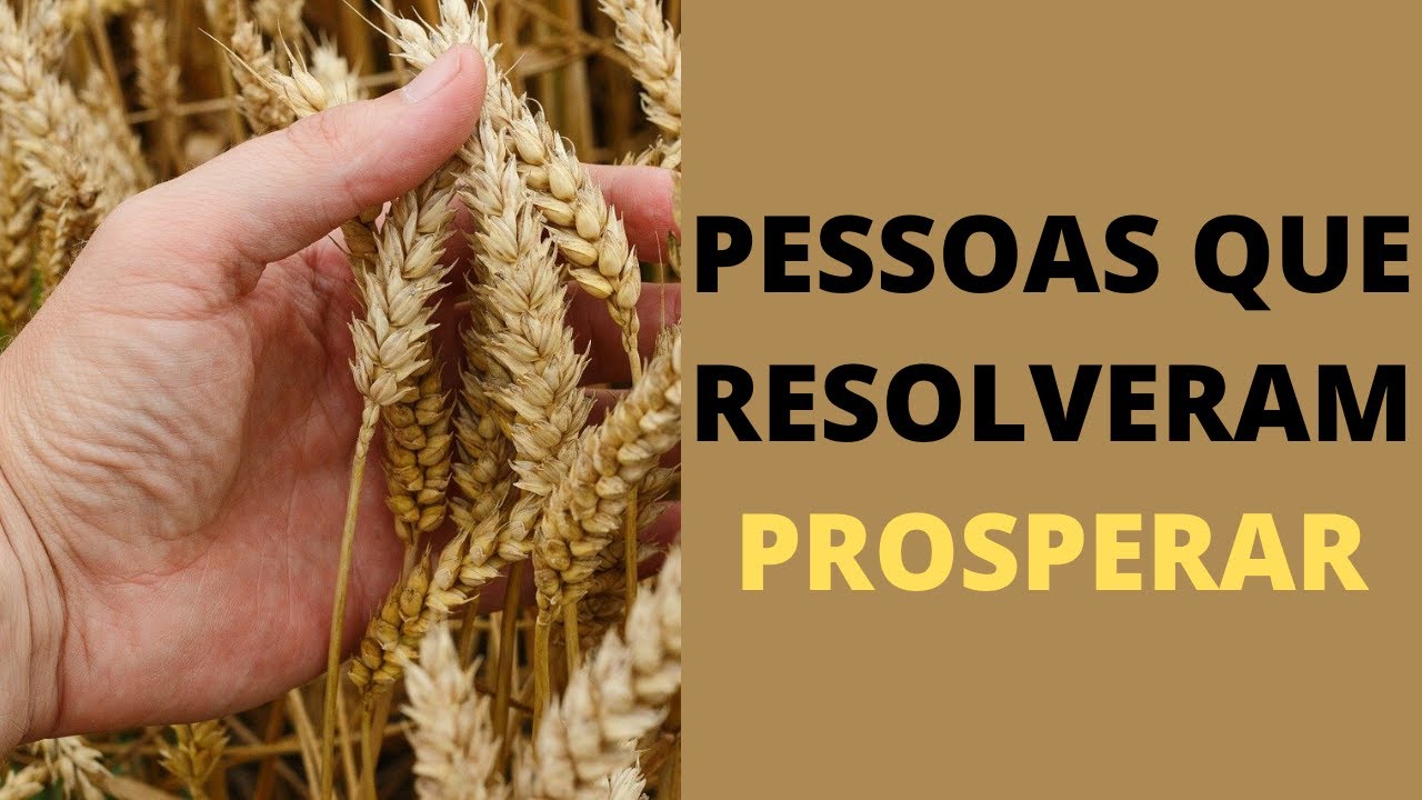 COMO ESSAS PESSOAS RESOLVERAM PROSPERAR !!! - CURSO PENSE E ENRIQUEÇA ...