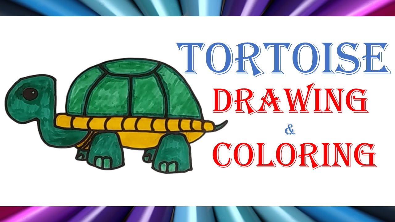 How To Draw And Color A Tortoise For Kids | | Coloring For Kids | Kids ...