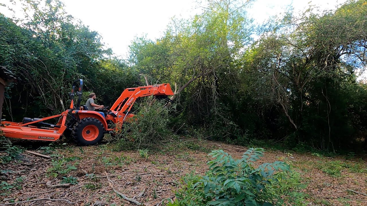 IT'S A DRAW! KUBOTA VS MASSIVE INVASIVE PRIVET - YouTube