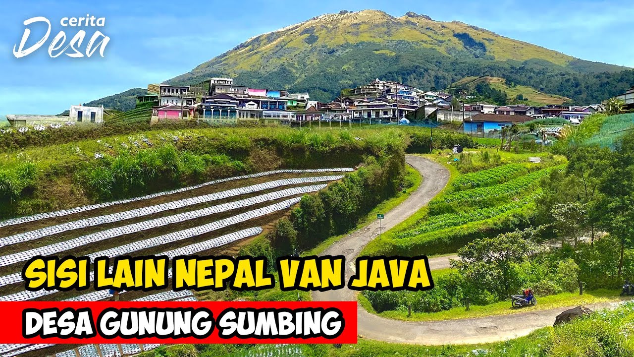 TETAP INDAH !! SISI LAIN NEPAL VAN JAVA DESA DI GUNUNG SUMBING, MAGELANG - Petualangan Alam ...