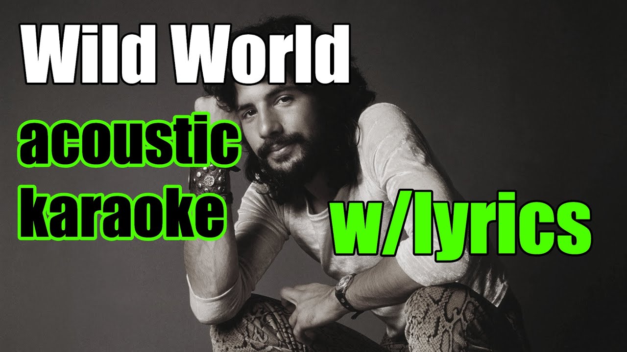 Wild World - Cat Stevens | (Acoustic Instrumental/Karaoke) - YouTube
