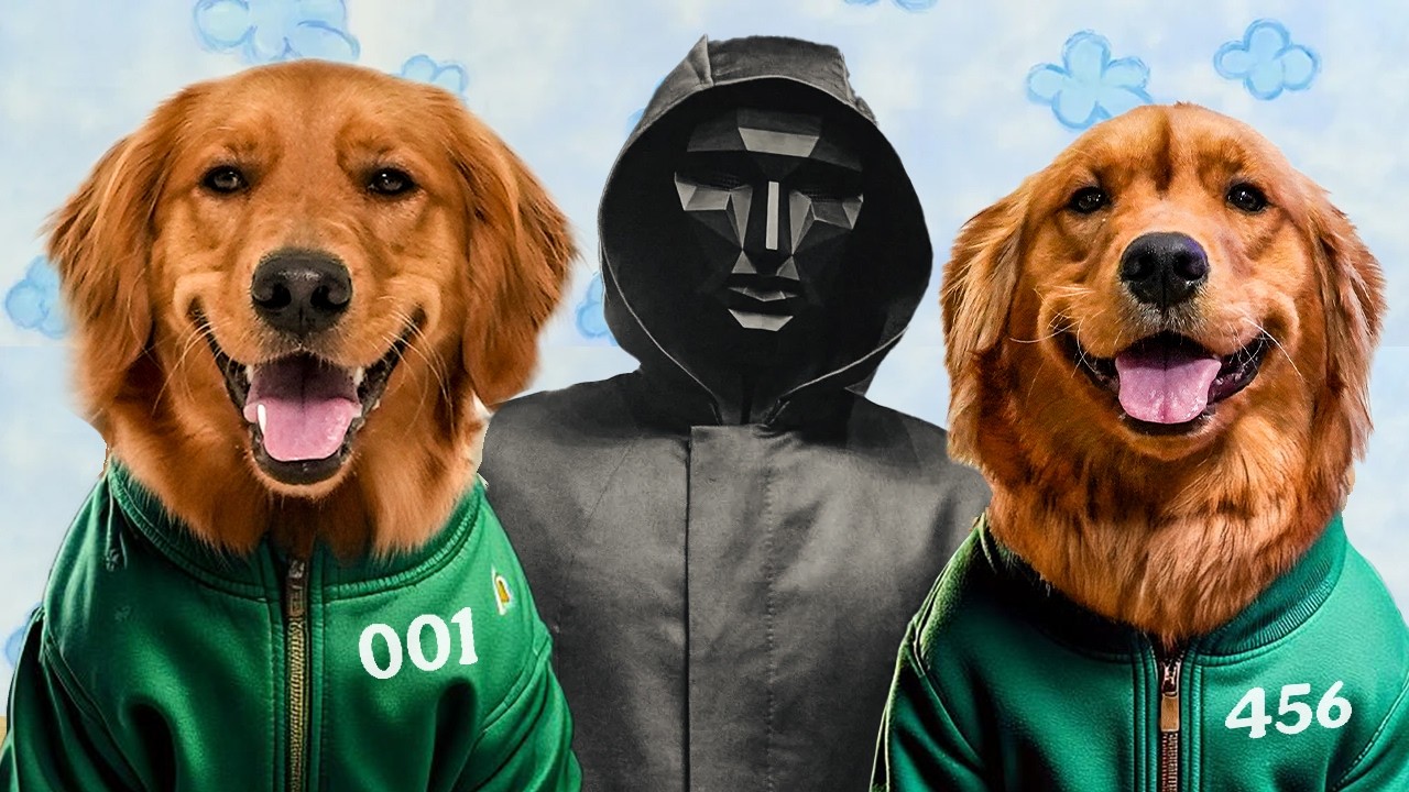My Dogs Survive Squid Game! - YouTube