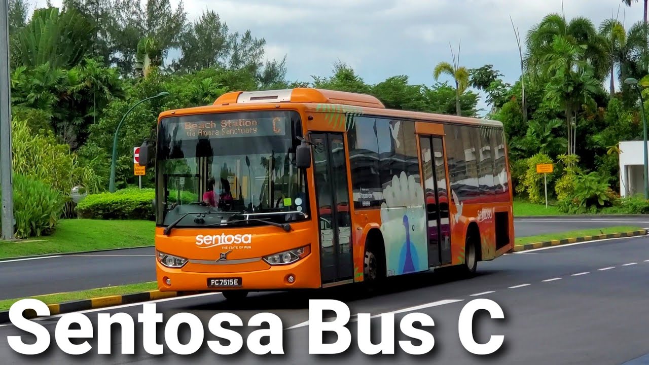 Sentosa Bus C [Volvo B8RLE Joyride] - YouTube