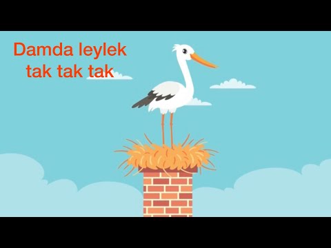 Hayvan Sesleri Şarkısı (Yeni) | Eğitici Çocuk Şarkıları