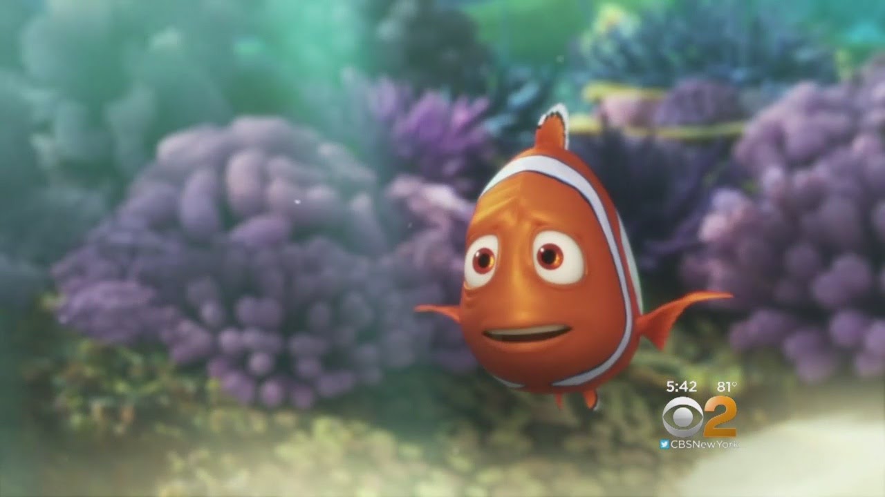 ‘Finding Dory’ Swims Into Theaters - YouTube