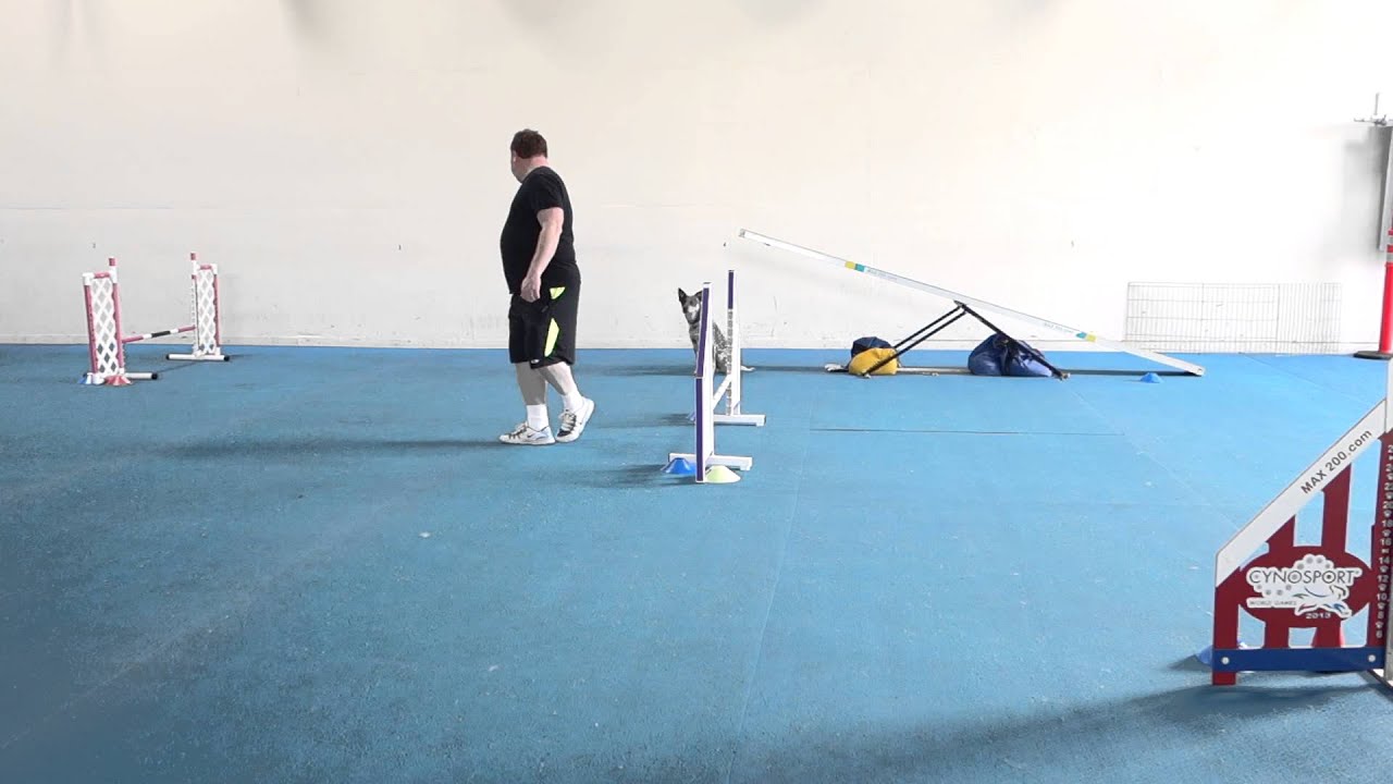 March 18, 2016 702 Tim & Angus - YouTube