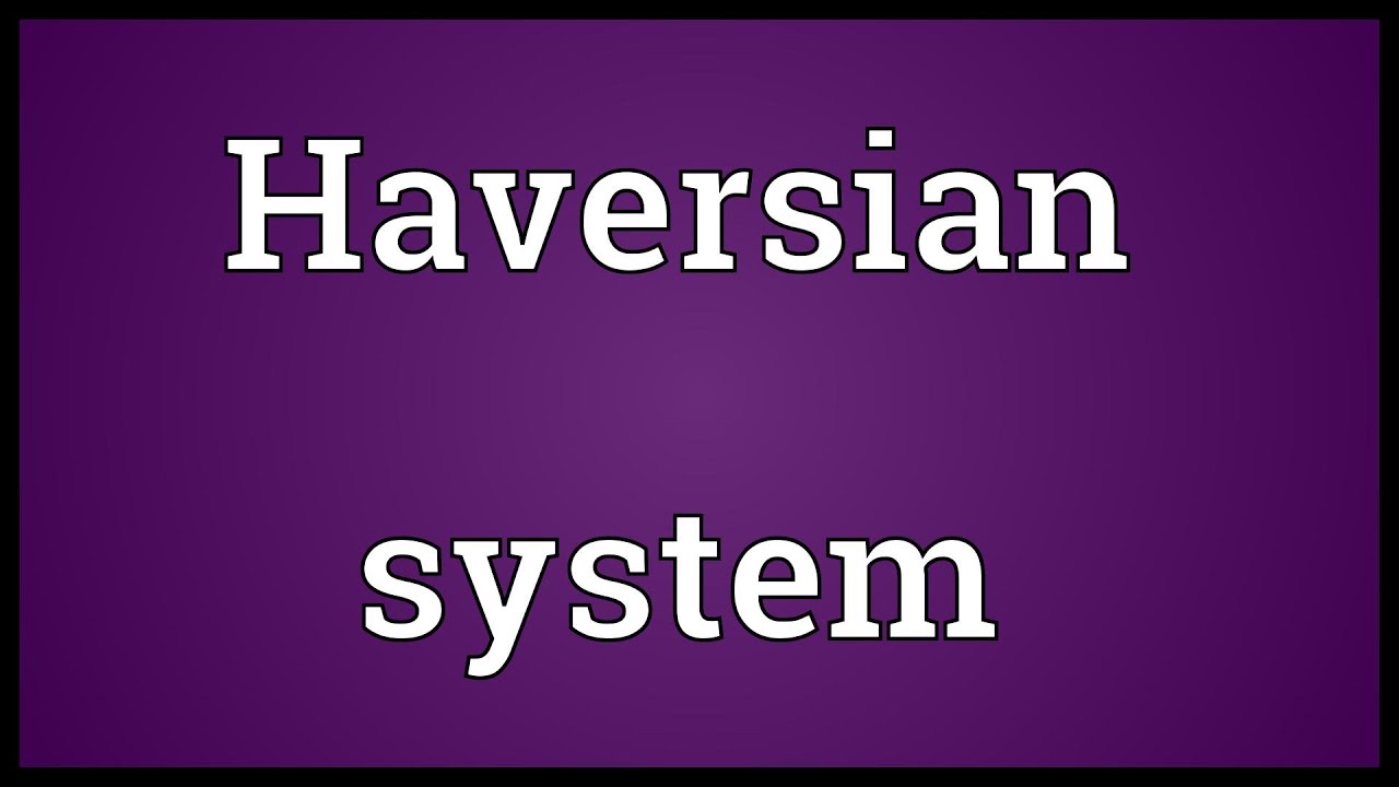 Haversian system Meaning - YouTube