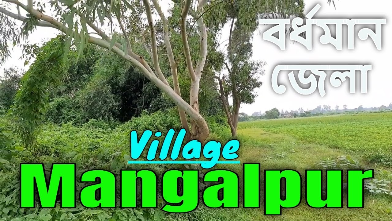 মঙ্গলপুর গ্রাম || Mangalpur Village || Burdwan District || বর্ধমান জেলা ...