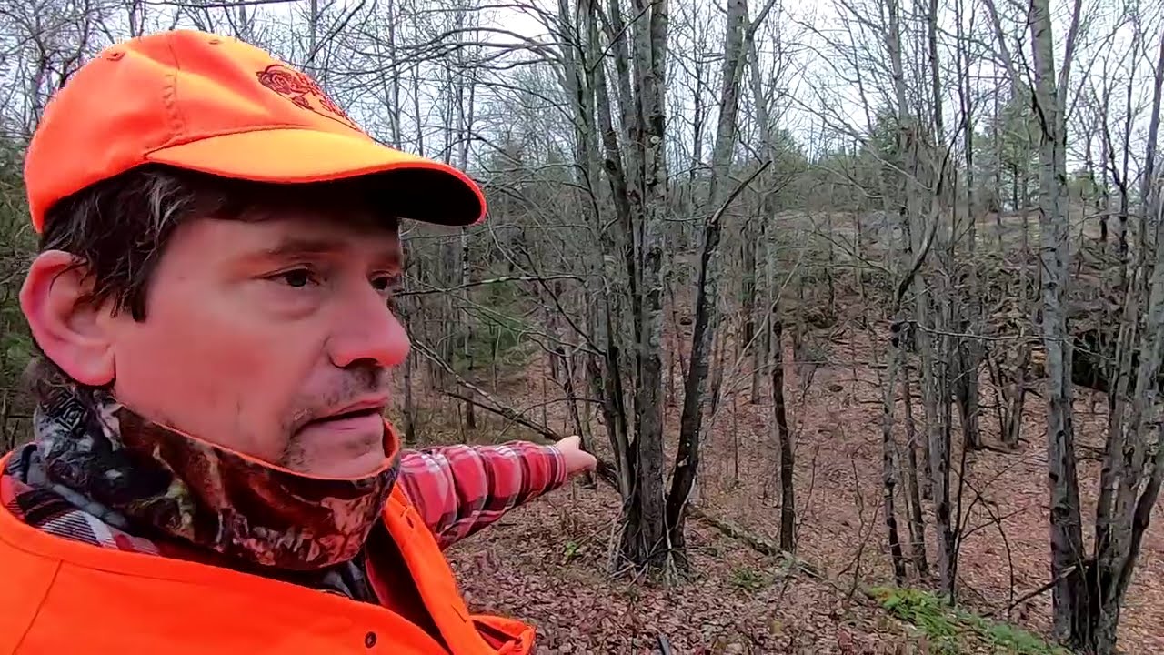 Deer Hunting 2020 Short Update - YouTube