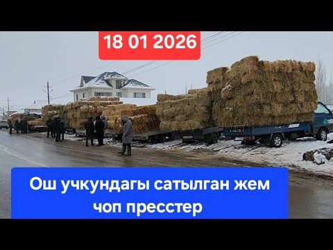 ОШ УЧКУНДАГЫ ЧОП ПРЕССТЕР 18 ЯНВАРЬ 2026 ЖЫЛ САТЫЛГАН ЖЕМ ЧОП ПРЕССТЕР #БАЗАР #ВИДЕО #РЕКОМЕНДАЦИИ 