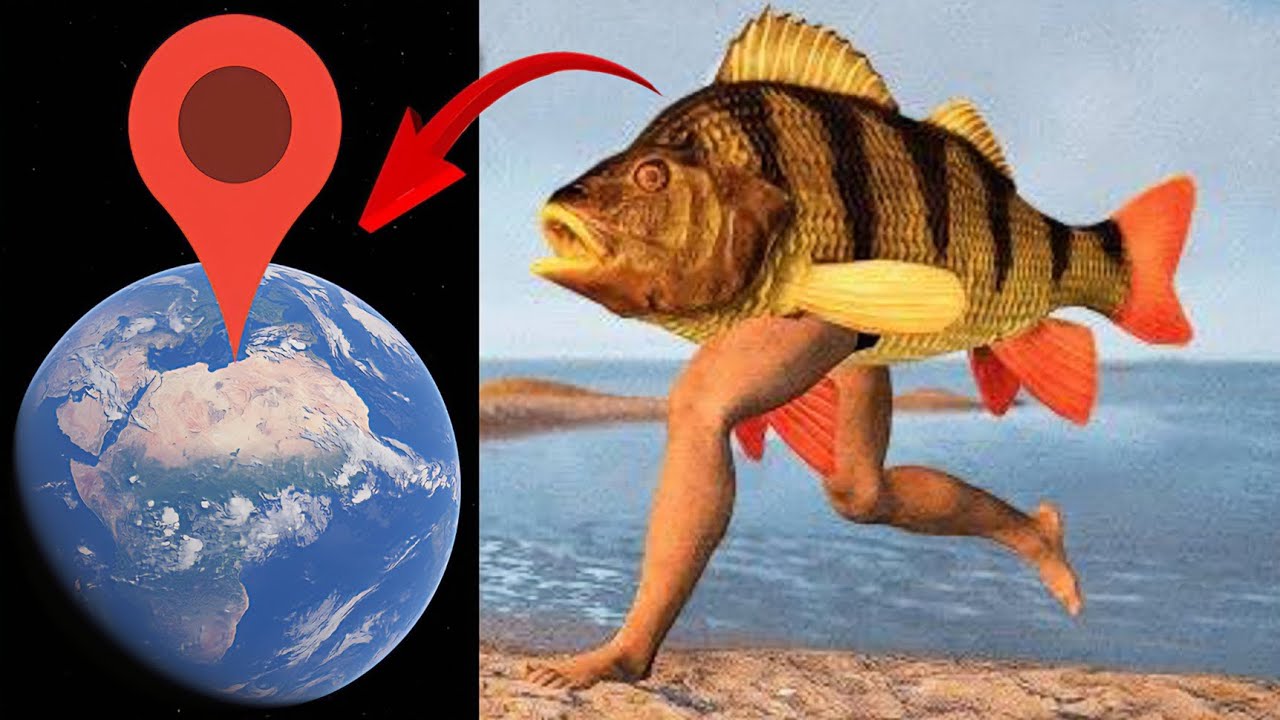 How to find Skibidi The Fish on Google Earth⁉️😱😳 - YouTube