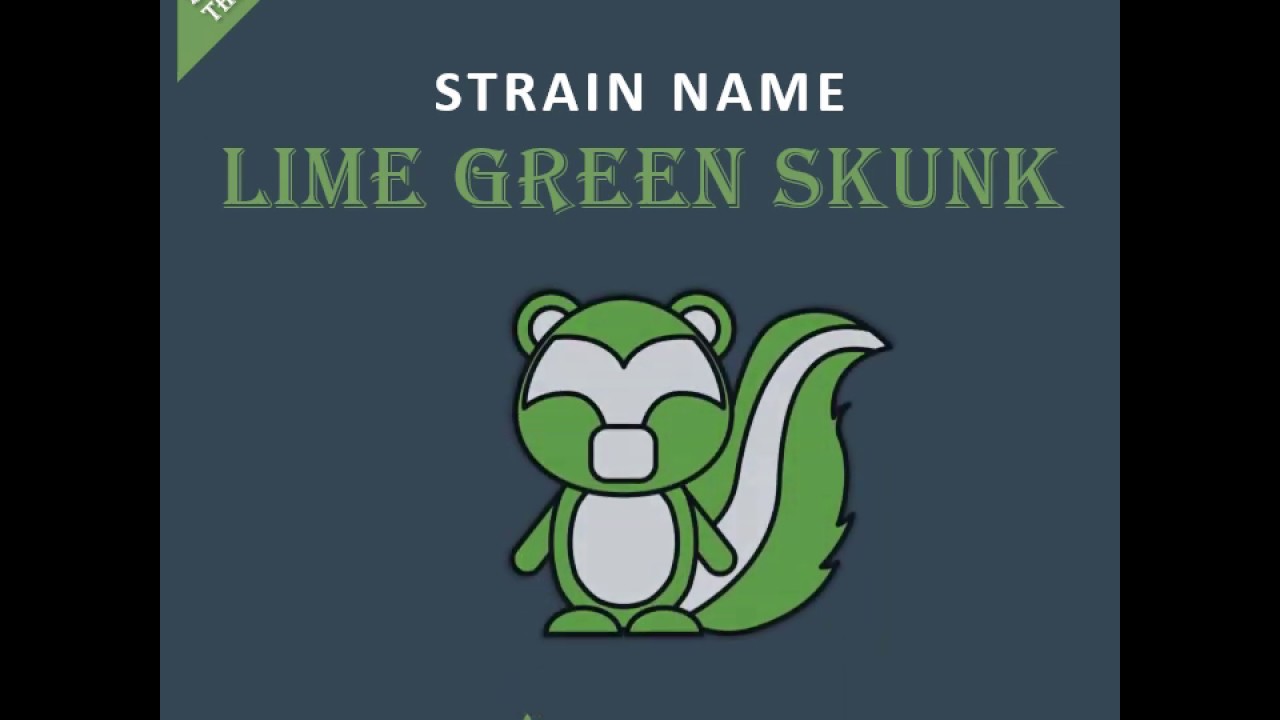 Strain of the Week - Lime Green Skunk - YouTube