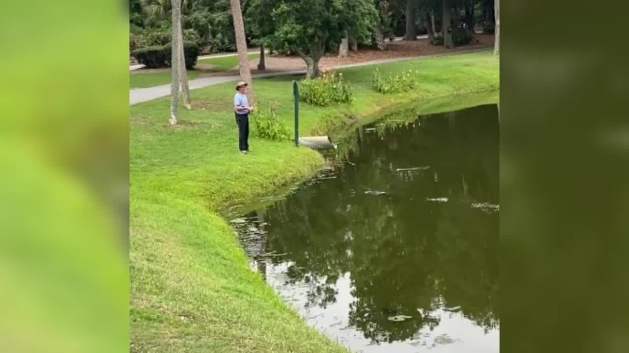 Video captures Hilton Head Island alligator charging at fisherman - YouTube