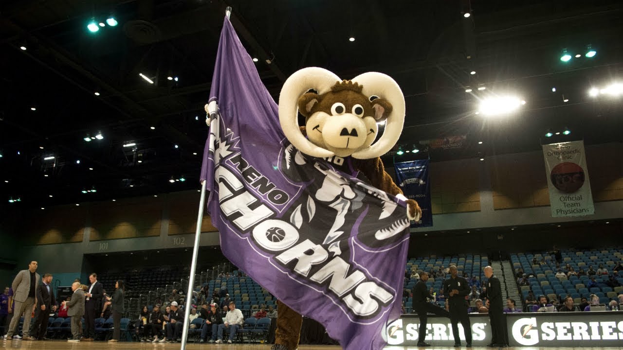 Reno Bighorns Top Plays Of The Season Youtube 2274