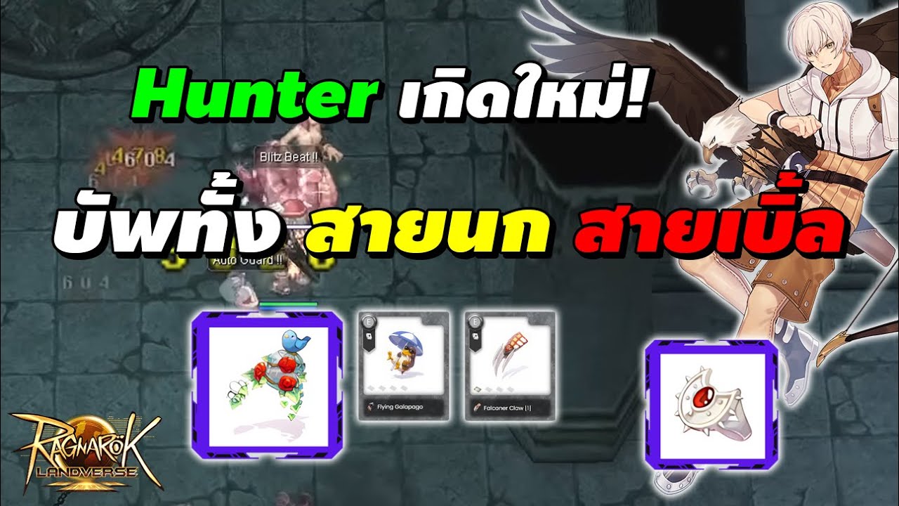 Hunter เกิดใหม่! บัพทั้ง สายนก สายเบิ้ล! (หมวกนก, ชาโด้ว) | Ragnarok ...