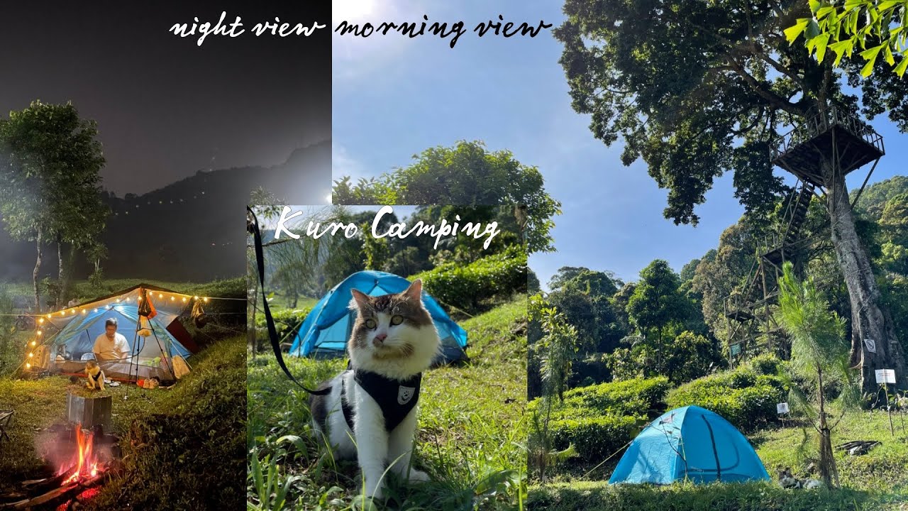 Gunung Mas Ecopark Camping Ground Puncak Bogor View Kebun Teh | Ajakin ...