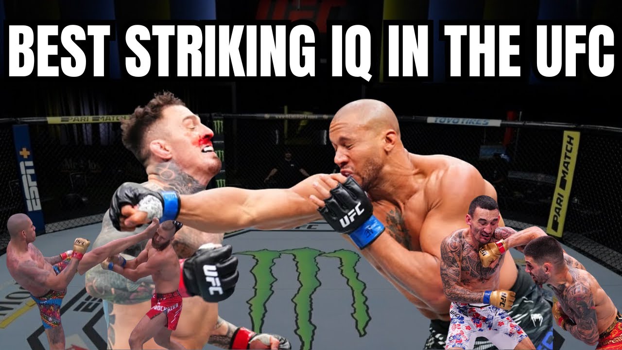 UFC Fighters' Striking IQ Tier List - YouTube