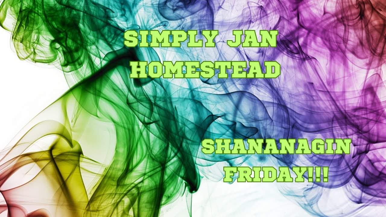 It's Shenanigan Friday! Let's see what we can get into! - YouTube