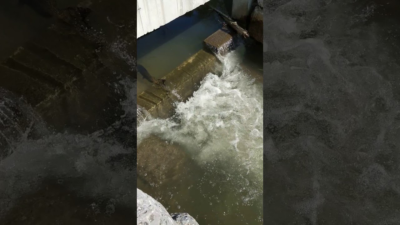 Bowmanville Creek Fish Ladder (Valleys 2000) 7 - YouTube