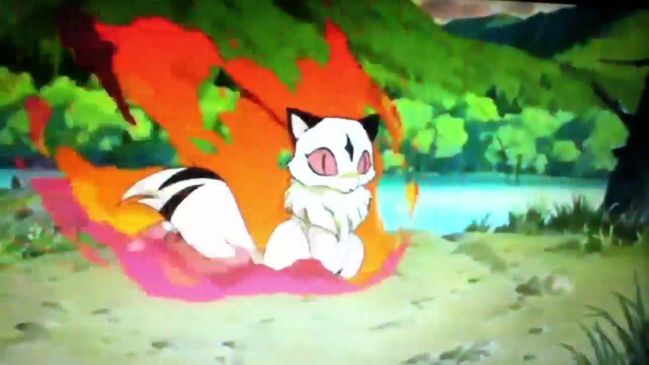 Kirara's Cute Meow! - YouTube