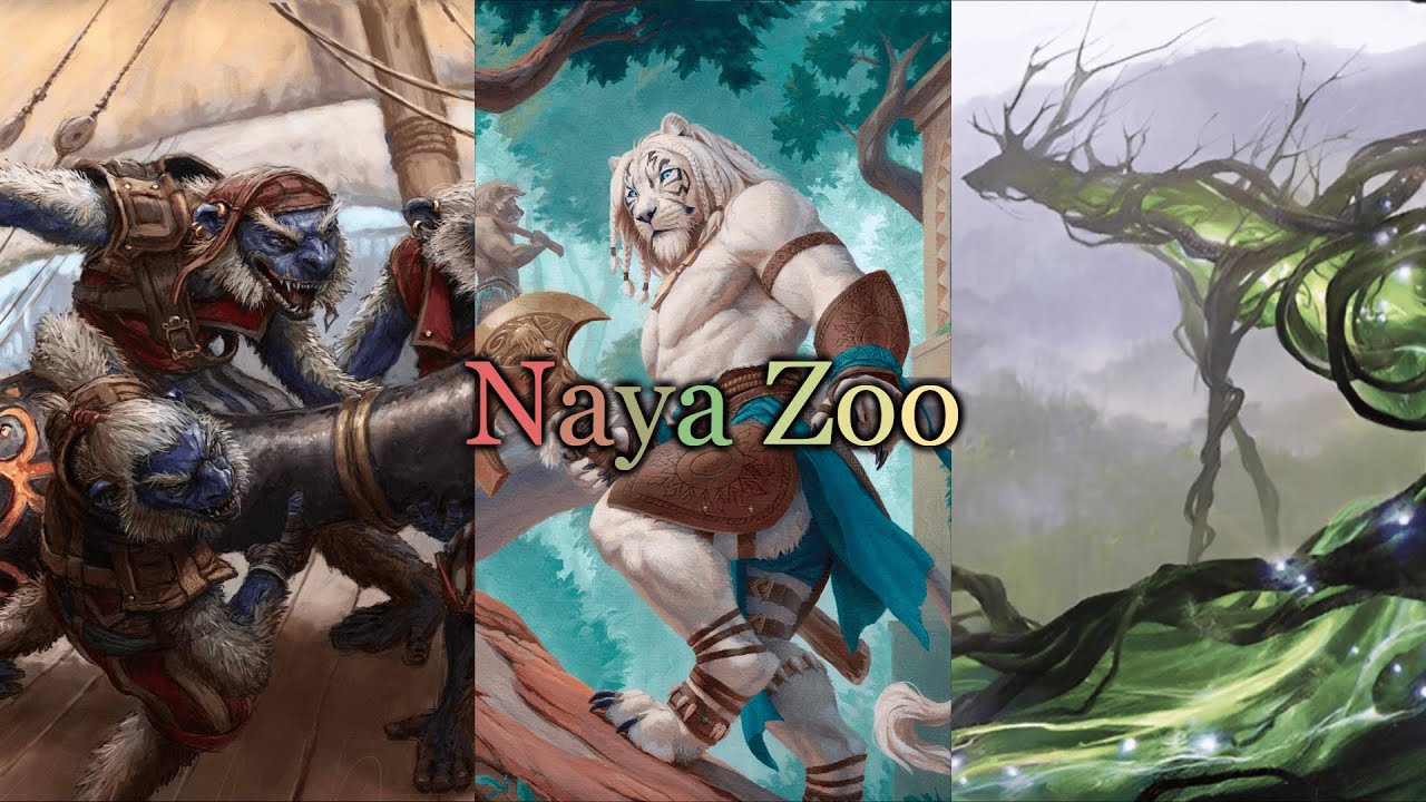 Aggro is Dead, Long Live Aggro | Canadian Highlander | Naya Zoo - YouTube