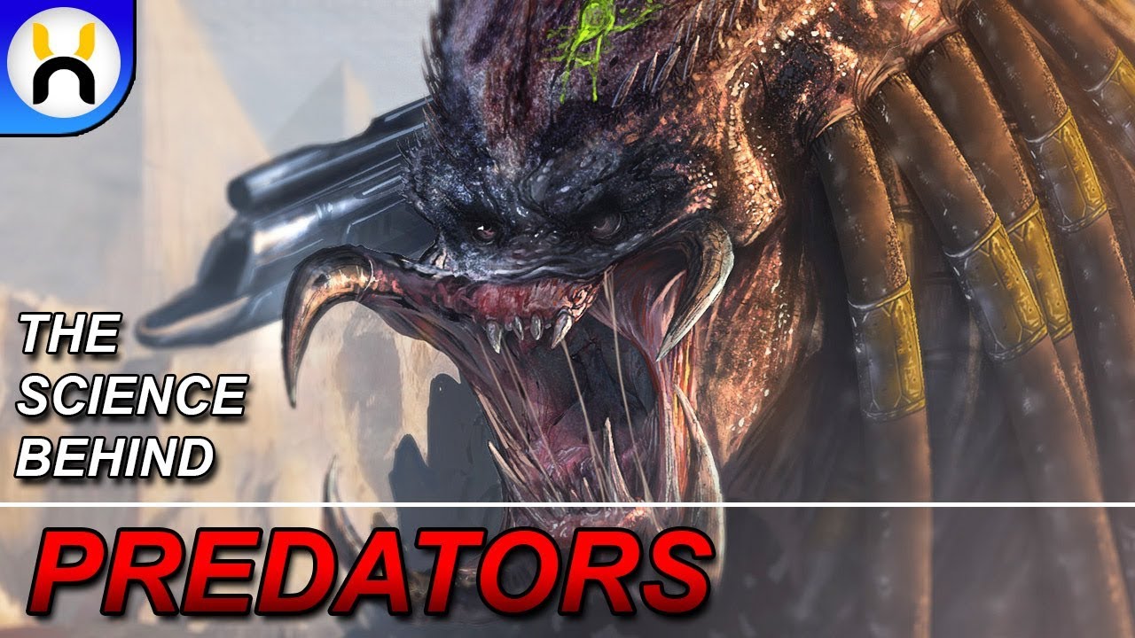 The Science Behind Predators Heat Vision | The Hybrid Theory - YouTube