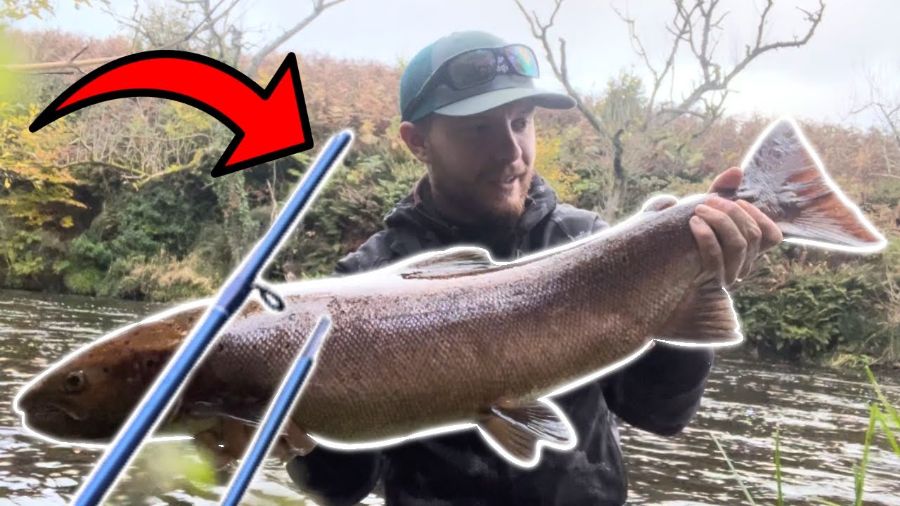 This Salmon Snapped My Rod! - YouTube