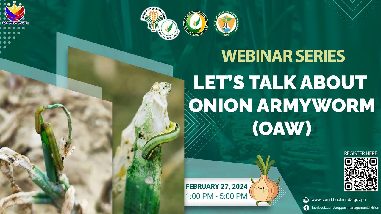 Webinar Series: Let's talk about onion Armyworm - YouTube
