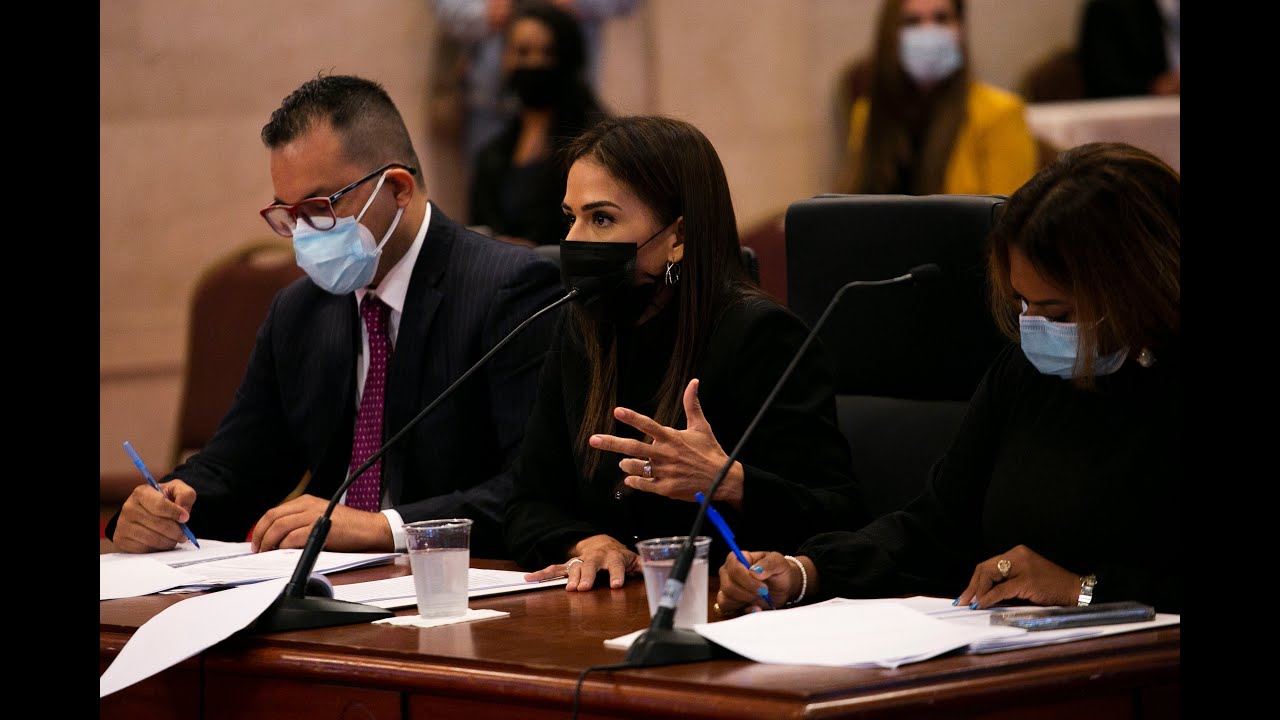 Comparece ante comisión del Senado la Procuradora de las Mujeres - YouTube