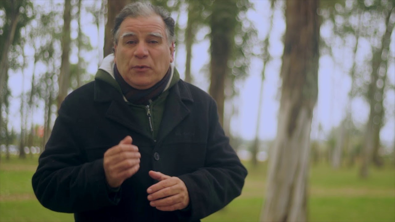 SPOT ANIBAL CORTE 1 - YouTube