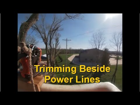 Fence Line Tree Trim - Avoiding Power Lines - YouTube