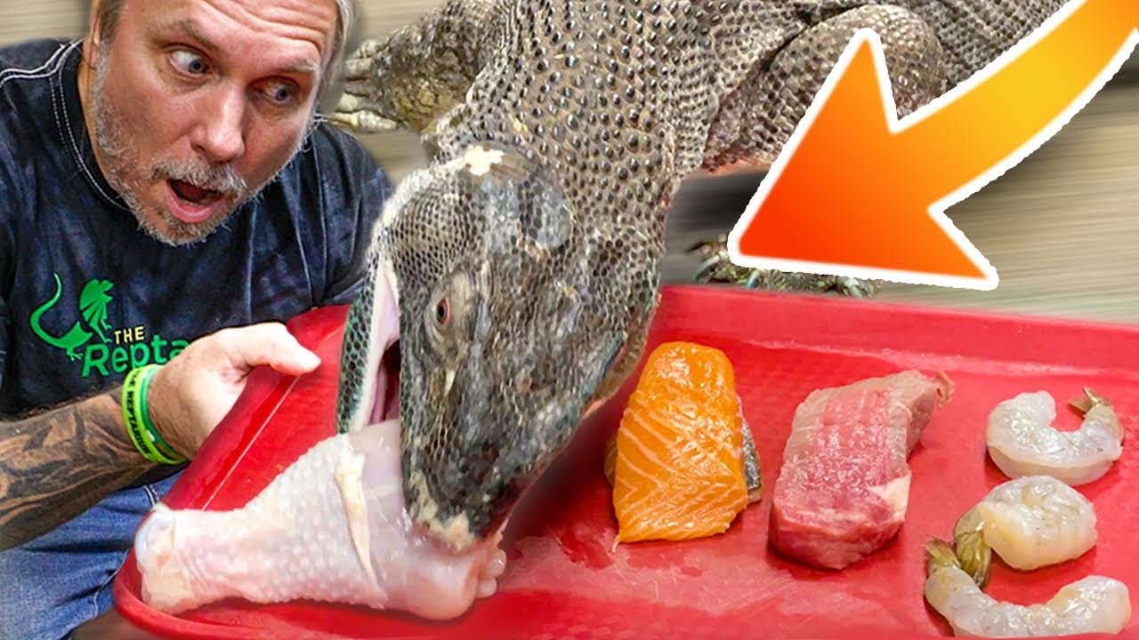GIANT LIZARD MUKBANG!! | BRIAN BARCZYK - YouTube