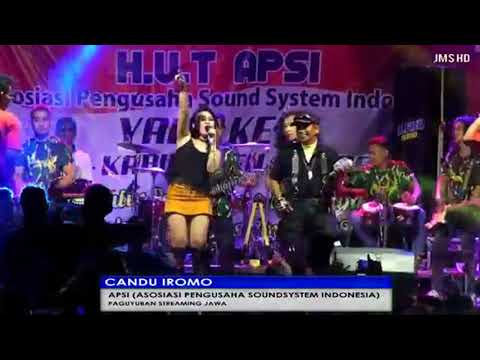 POLISI - erna jenjen - cs. candu iromo live apsi 2017