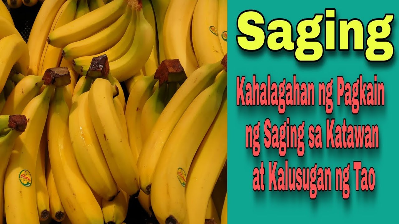 Saging: Kahalagahan ng Pagkain ng Saging sa Katawan at Kalusugan ng Tao ...