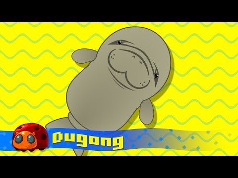 Dugong : Silly Song : JellyBug
