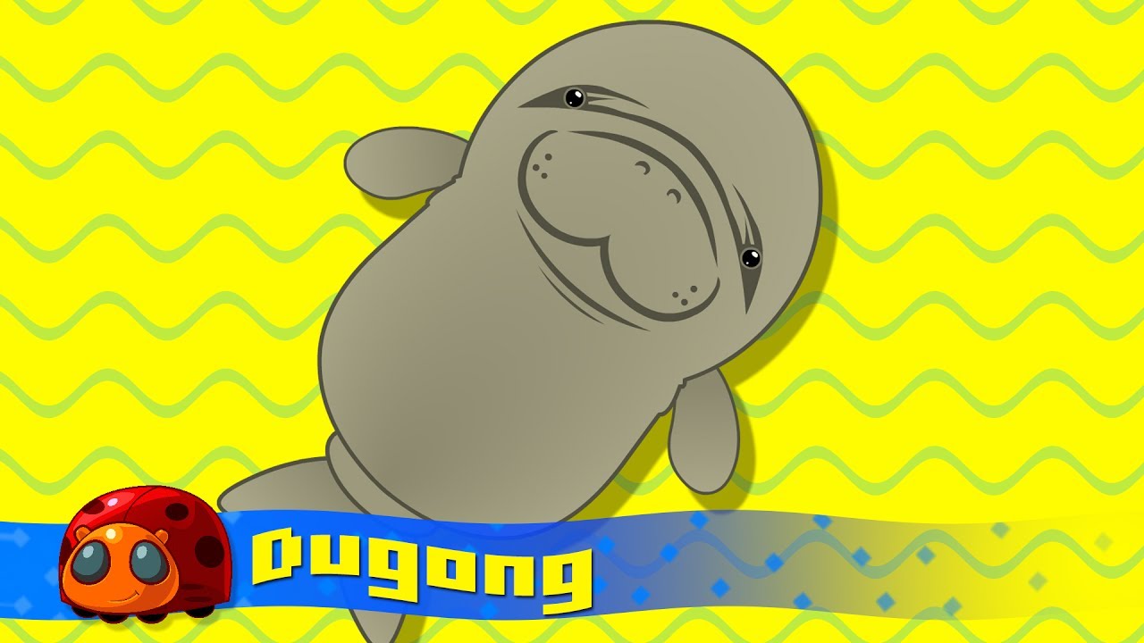 Dugong : Silly Song : JellyBug - YouTube
