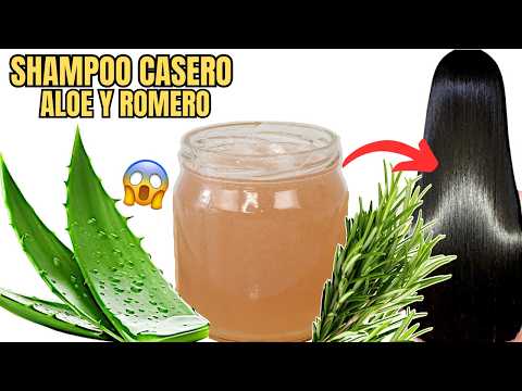SHAMPOO CASERO DE ALOE Y ROMERO PARA EL CRECIMENTO DEL CABELLO Y DETENER LA CAIDA | SHAMPOO NATURAL😱