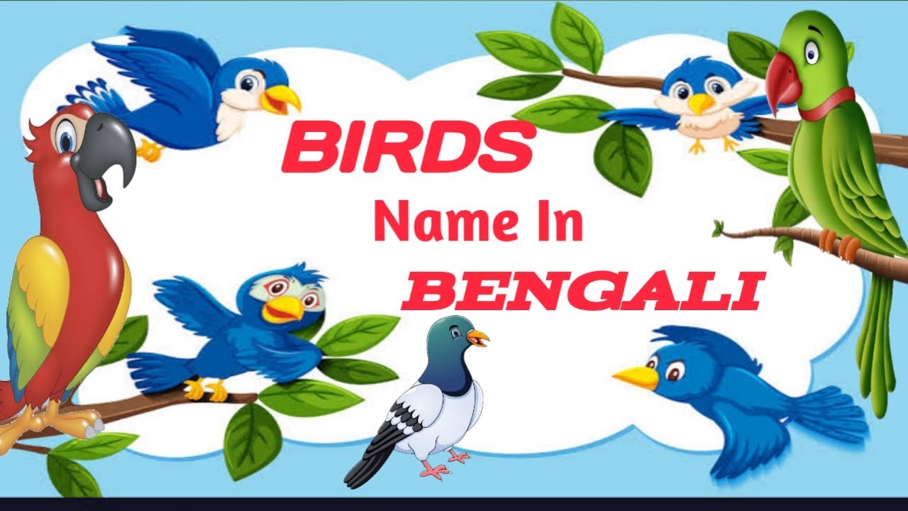 Birds | Birds Name in BENGALI | Birds Name With Picture | Birds Name ...
