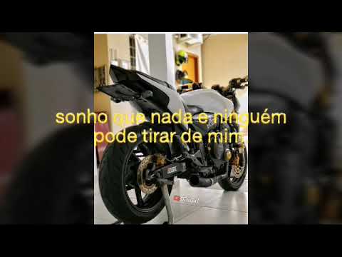 Melhor vídeo de hornet para status #3😍