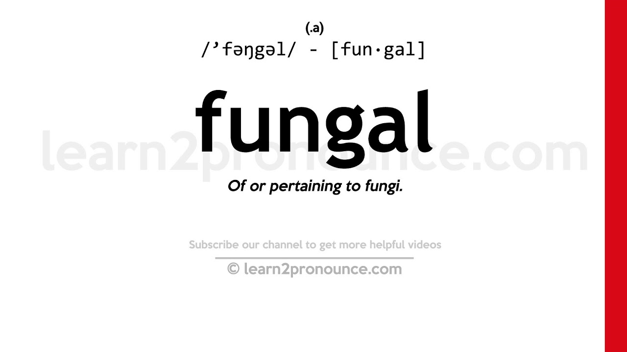 Pronunciation of Fungal | Definition of Fungal - YouTube
