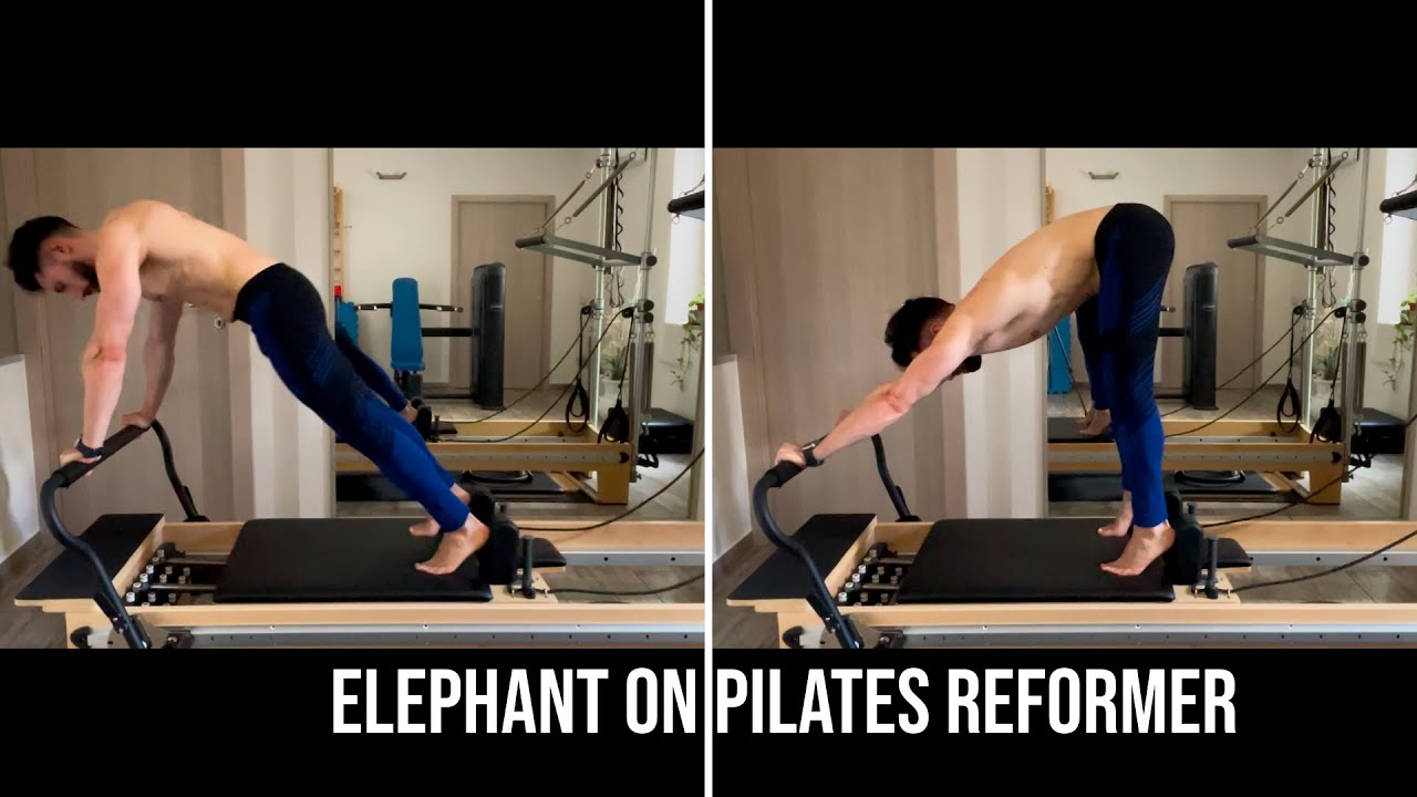 🔥 Elephant on Pilates Reformer | Core, Hamstrings & Shoulder Strength ...