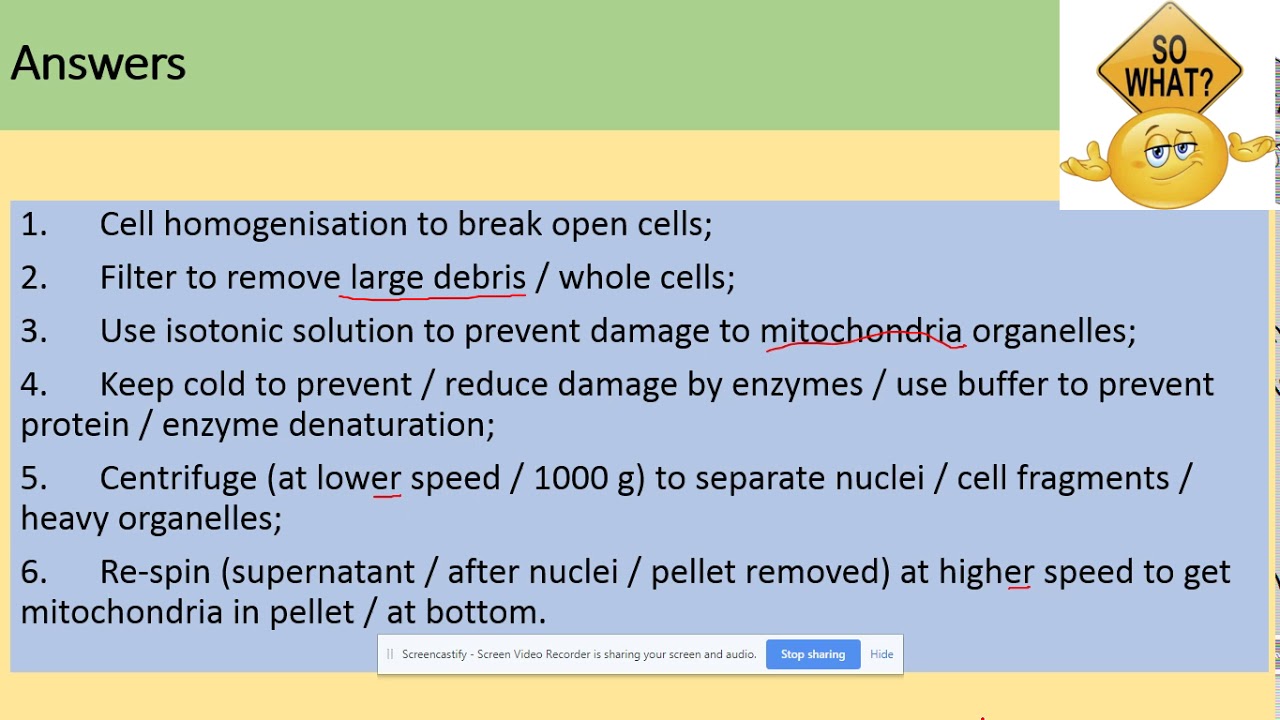 3.2.1.3 Methods of studying cells. AQA A level Biology - YouTube