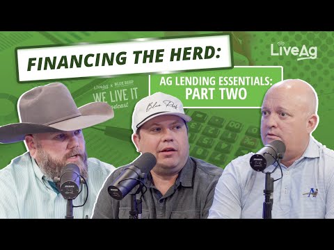 Financing the Herd: Ag Lending Essentials (Part 2) | We Live It Livestock Marketing Podcast