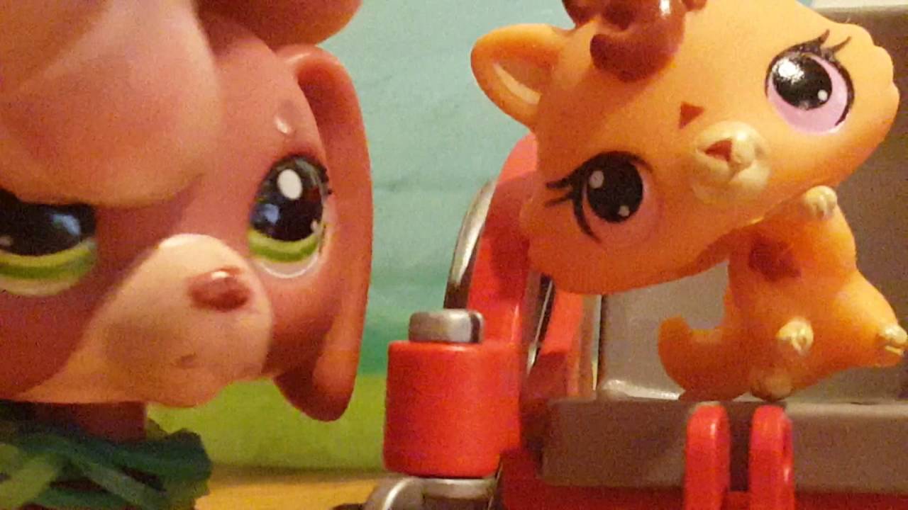 Lps Life of Tara - YouTube