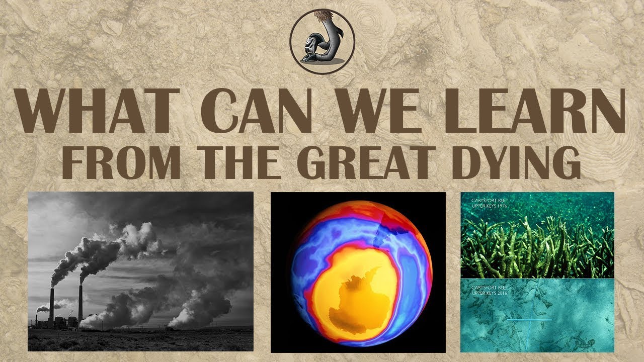 What We Can Learn From The Great Dying - YouTube