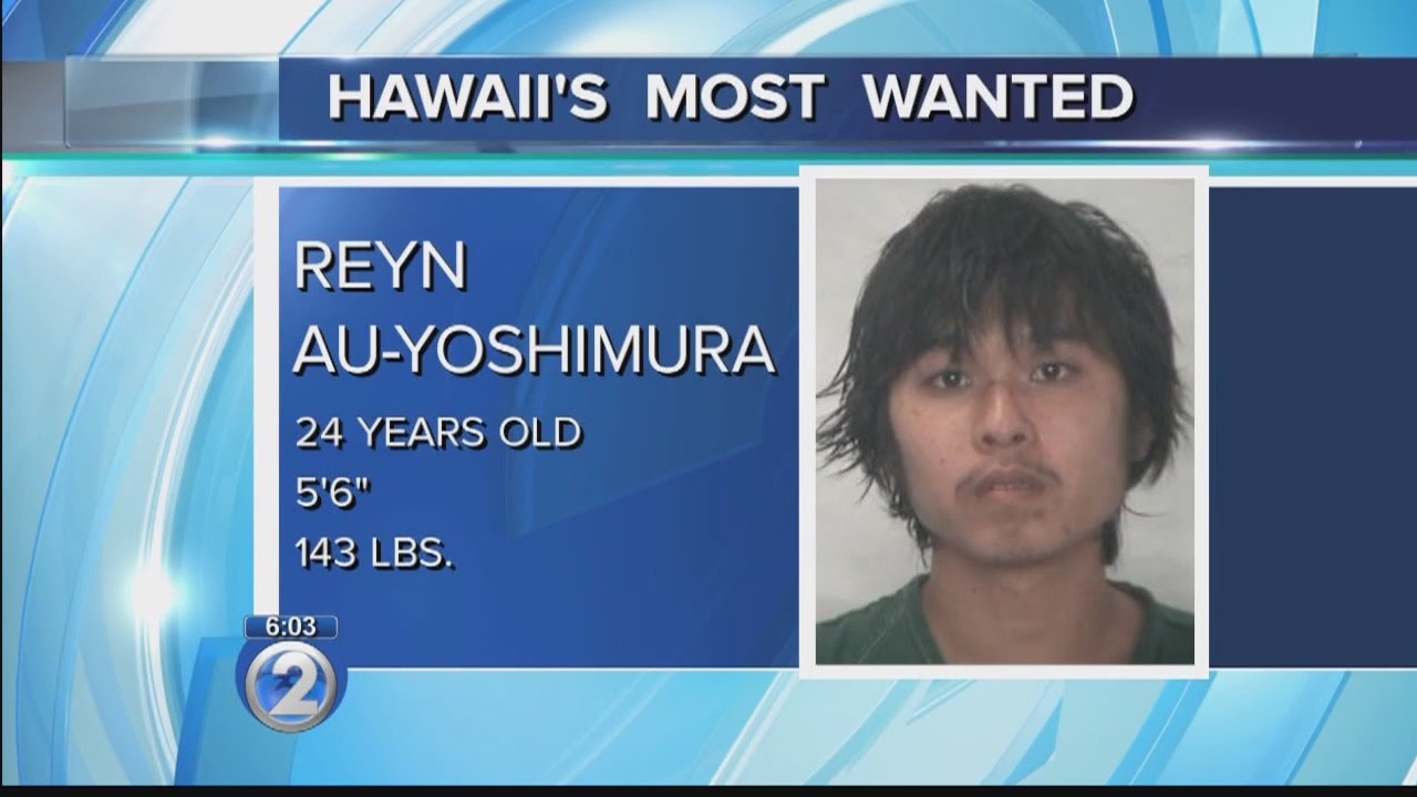 Hawaii's Most Wanted: Reyn Au-Yoshimura - YouTube