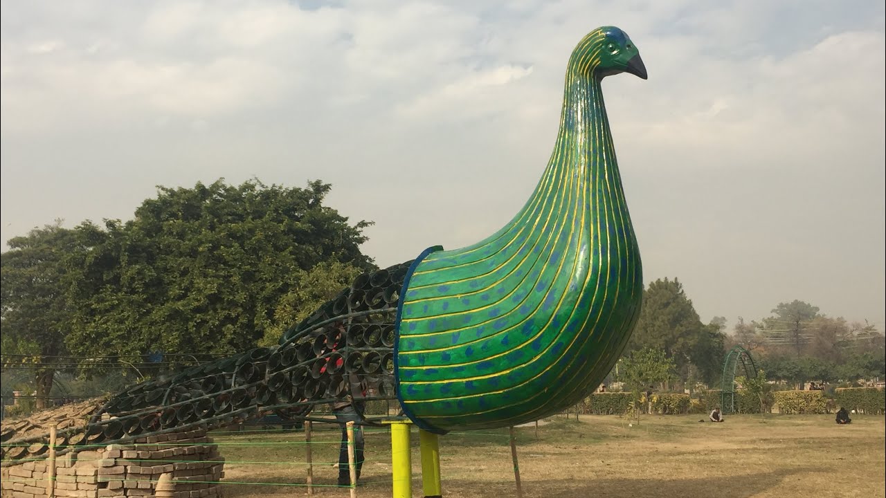 World biggest peacock - YouTube