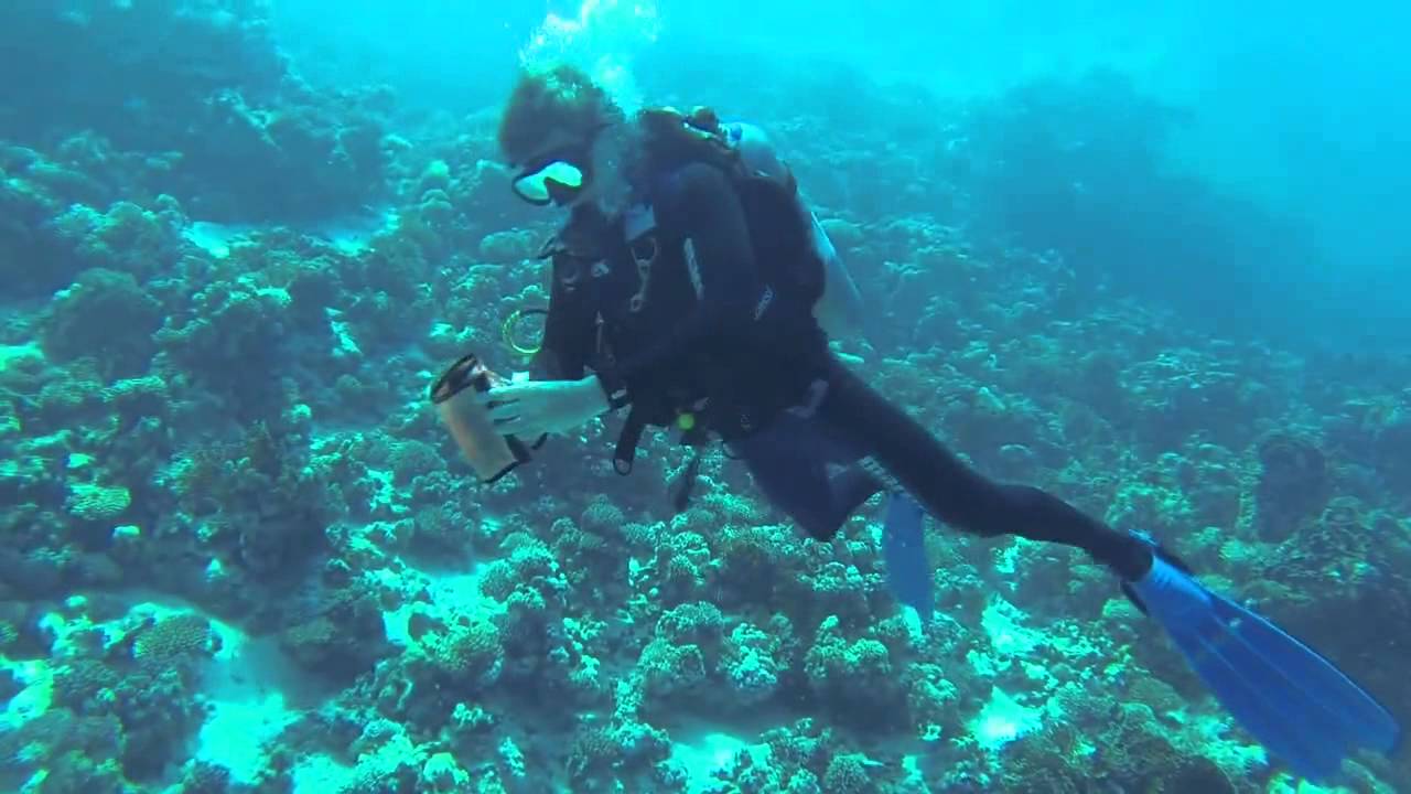 Egypt Sharm El Sheikh 07 2014 Course SSI Deep dive - YouTube