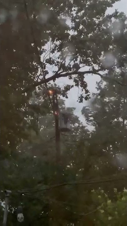When a Tree Branch Causes a Fire and Transformer To Explode During a ...