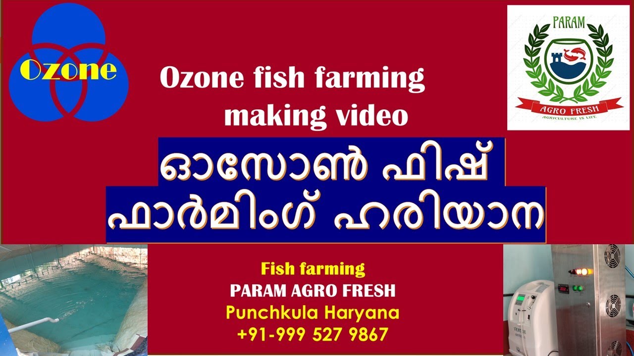 OZONE FISH FARMING / OZONE AQUACULTURE / ഓസോൺ ഫിഷ് ഫാർമിംഗ് ഹരിയാന ...